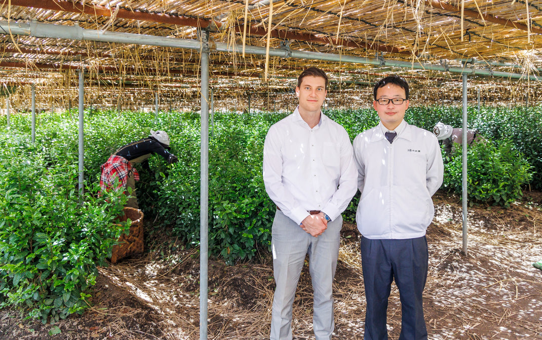 Matcha Miyako Webshop - from Kyoto to Your Home